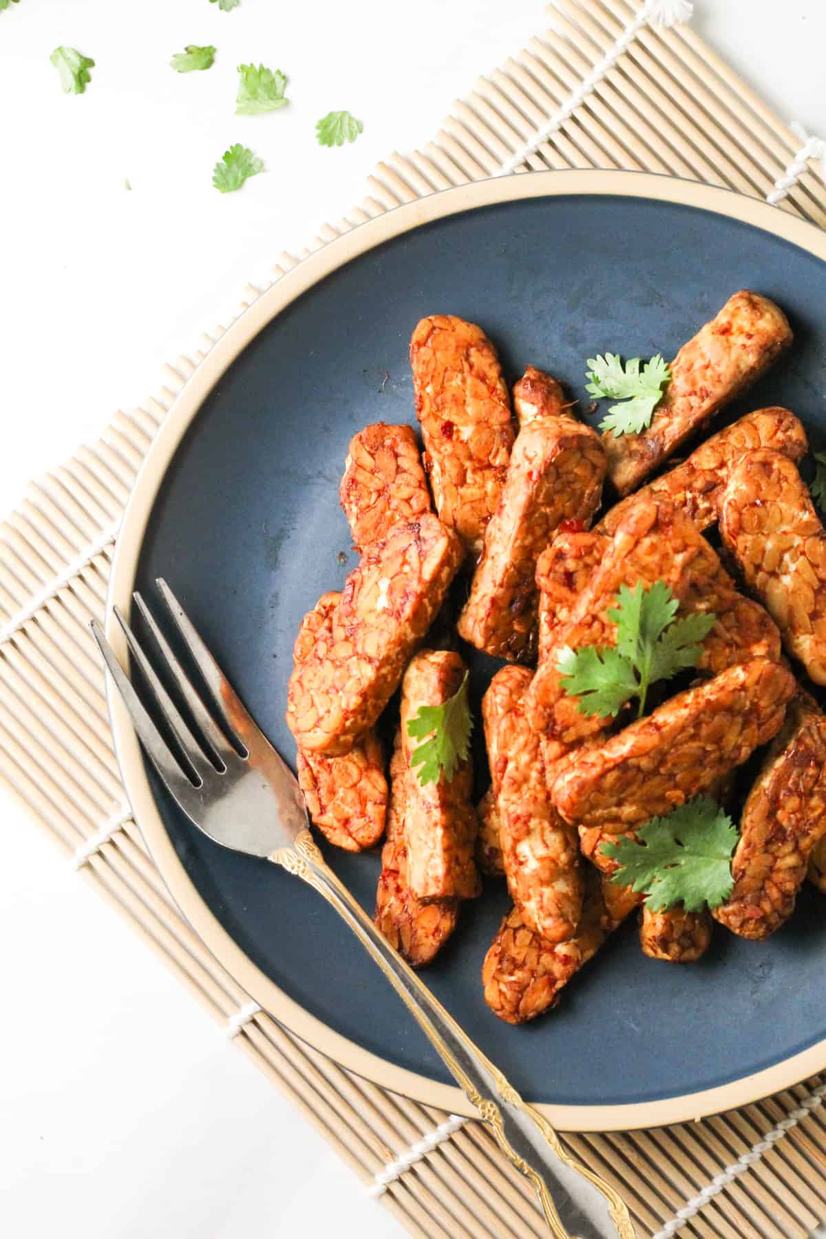 Indonesian Tempeh Recipes