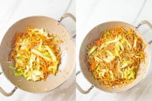 Stir-fry Rice Vermicelli Noodles ( Fried Bee Hoon ) – My Plantiful Cooking