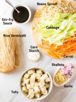 Stir-fry Rice Vermicelli Noodles ( Fried Bee Hoon ) – My Plantiful Cooking