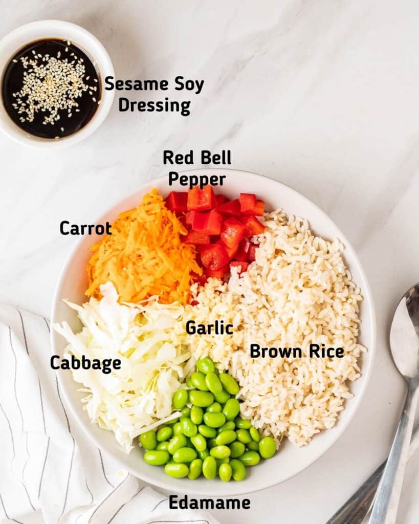 Vegan Asian Brown Rice Salad – My Plantiful Cooking