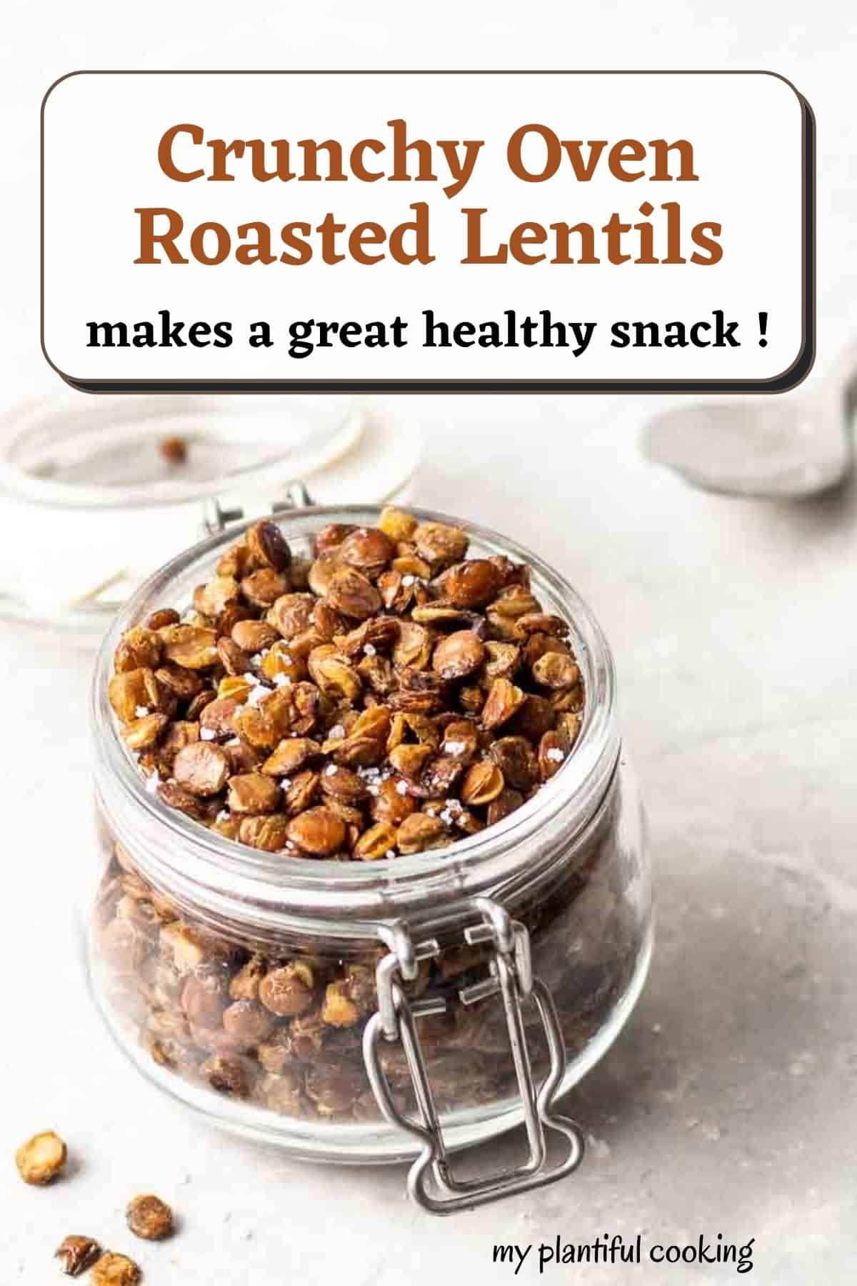 Crunchy Roasted Lentils – My Plantiful Cooking