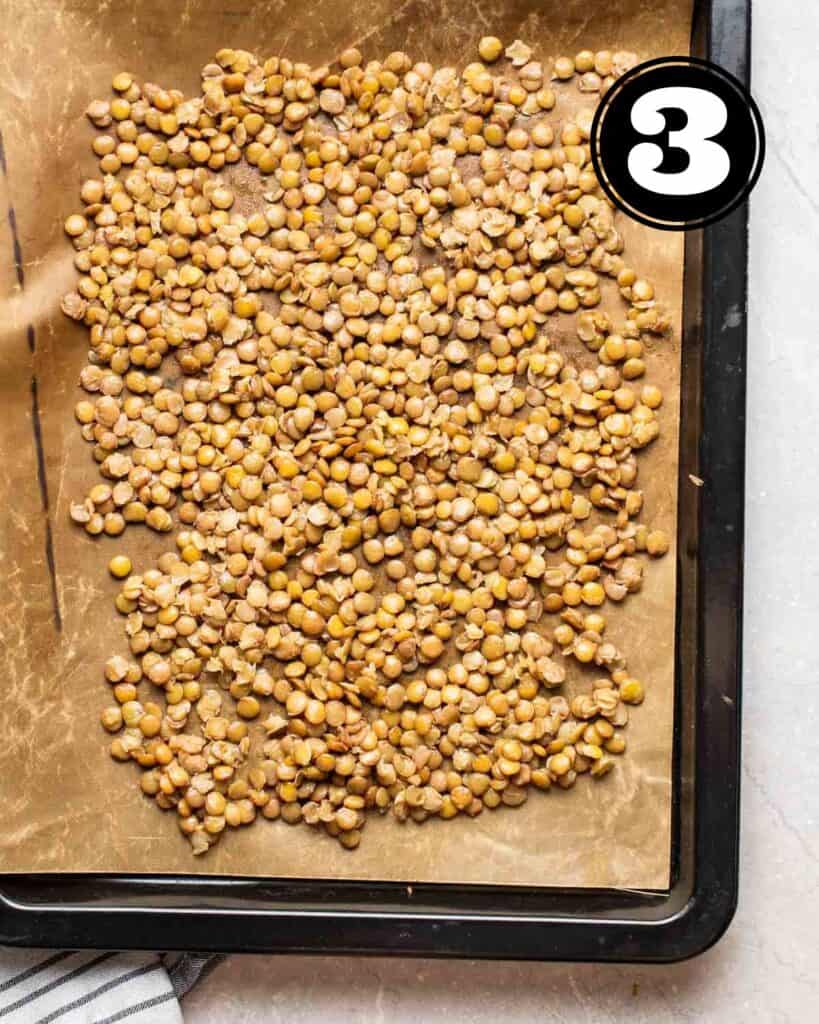 Crunchy Roasted Lentils – My Plantiful Cooking