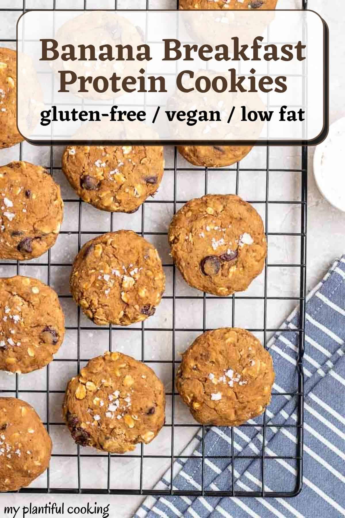 Vegan Protein Cookies – My Plantiful Cooking