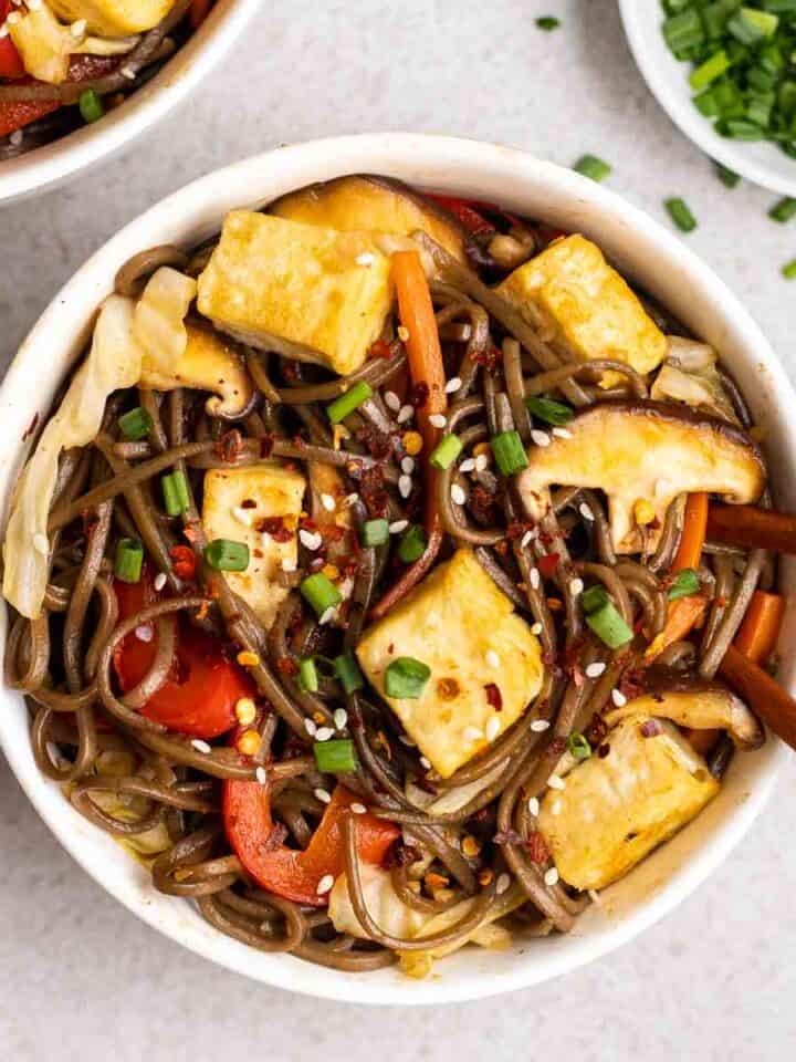 Malay Sambal Fried Rice (Nasi Goreng Sambal) – My Plantiful Cooking