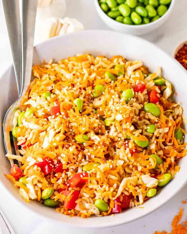 Vegan Asian Brown Rice Salad – My Plantiful Cooking