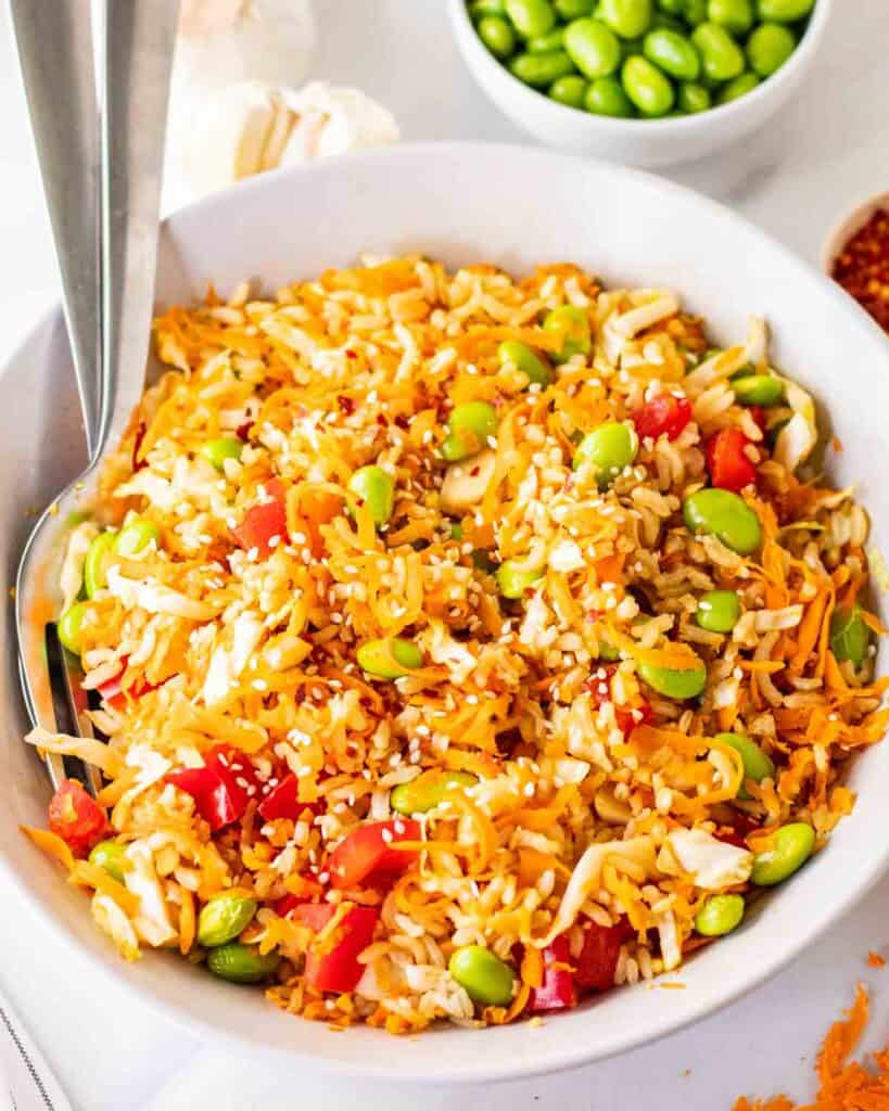 Vegan Asian Brown Rice Salad – My Plantiful Cooking
