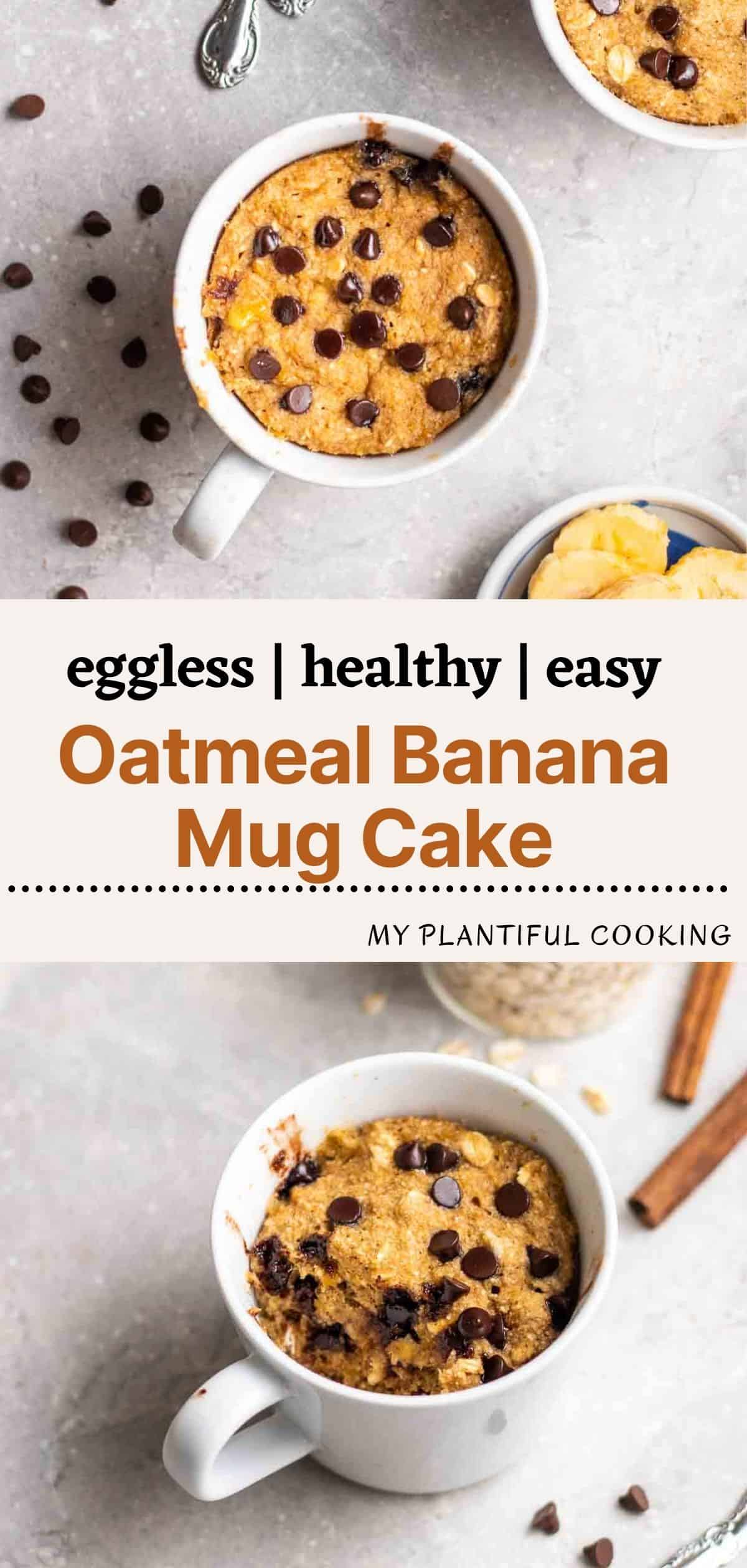 Banana Oat Mug Cake (no eggs) – My Plantiful Cooking