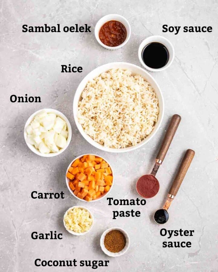 Malay Sambal Fried Rice (Nasi Goreng Sambal) – My Plantiful Cooking