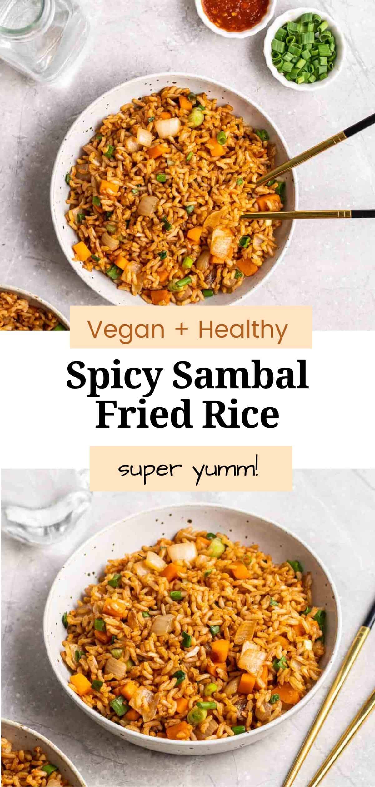 Malay Sambal Fried Rice (Nasi Goreng Sambal) – My Plantiful Cooking