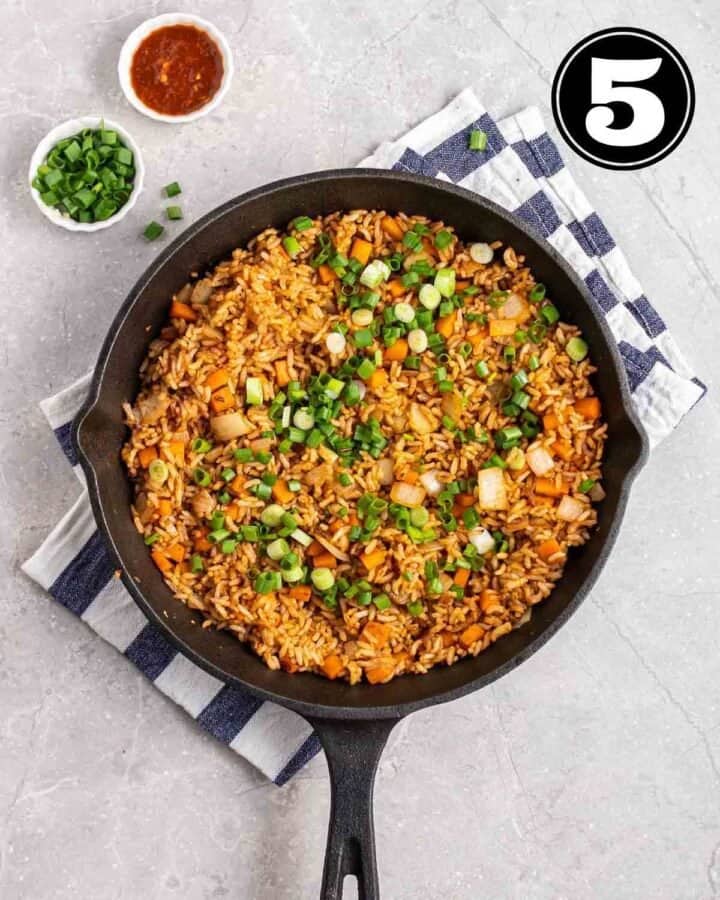 Malay Sambal Fried Rice (Nasi Goreng Sambal) – My Plantiful Cooking