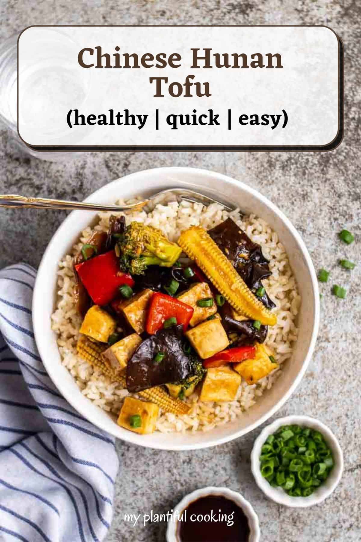 Chinese Hunan Tofu – My Plantiful Cooking