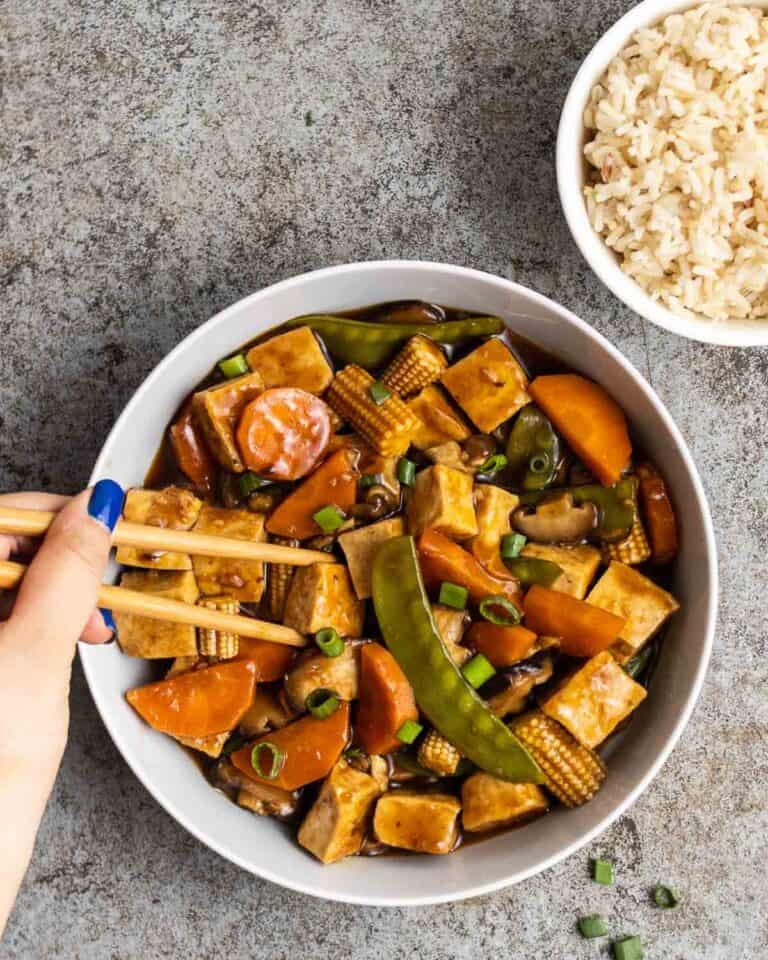 Chinese Braised Claypot Tofu – My Plantiful Cooking