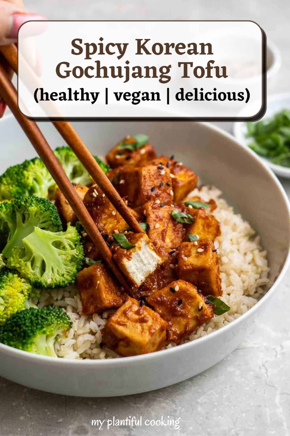 Spicy Korean Gochujang Tofu – My Plantiful Cooking