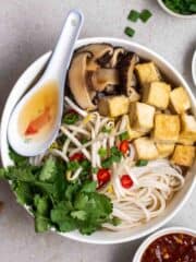 Crispy Shredded Tofu – ready in 15 minutes!