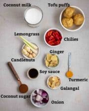 Creamy Malaysian Vegan Laksa – My Plantiful Cooking