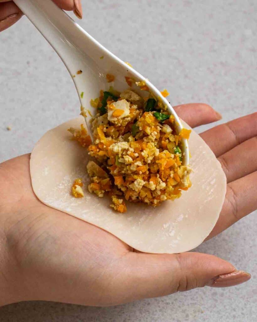 Easy Vegan Momos – My Plantiful Cooking