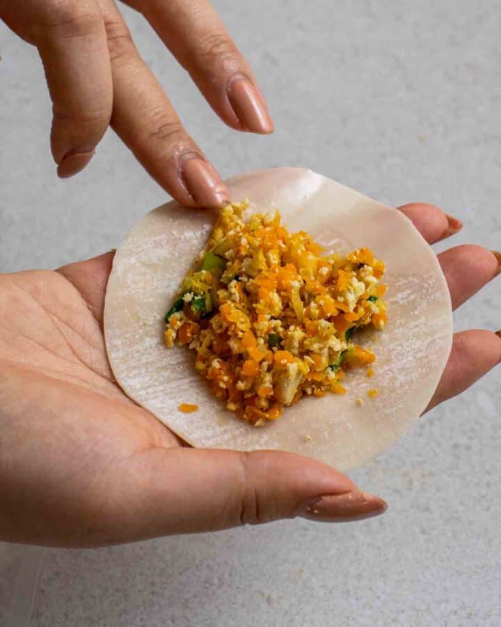 Easy Vegan Momos – My Plantiful Cooking