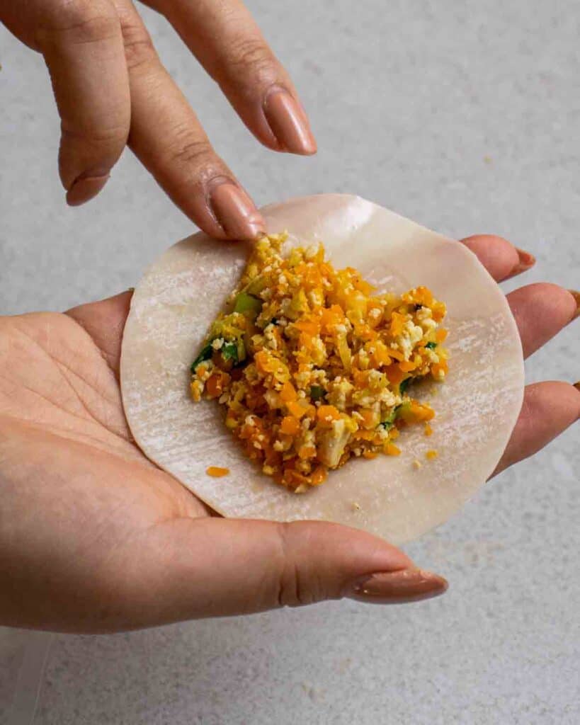 Easy Vegan Momos – My Plantiful Cooking