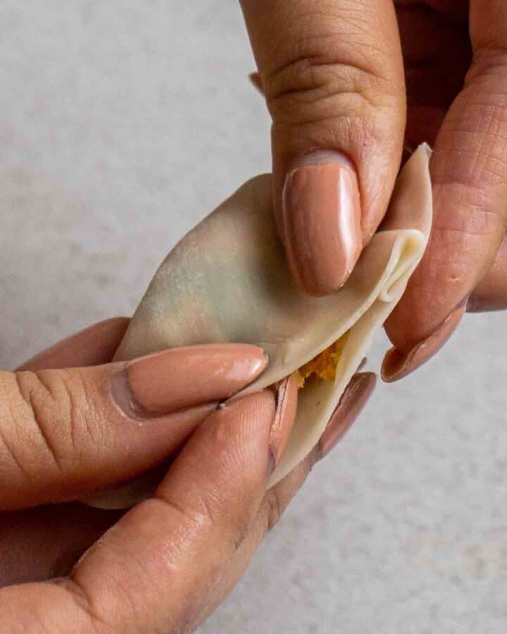 Easy Vegan Momos – My Plantiful Cooking