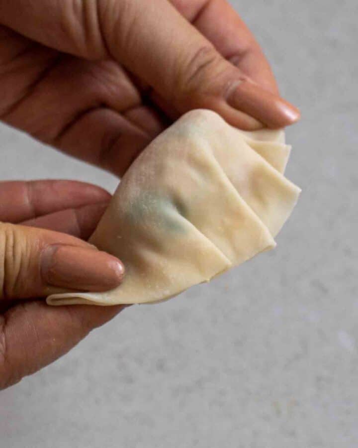 Easy Vegan Momos – My Plantiful Cooking