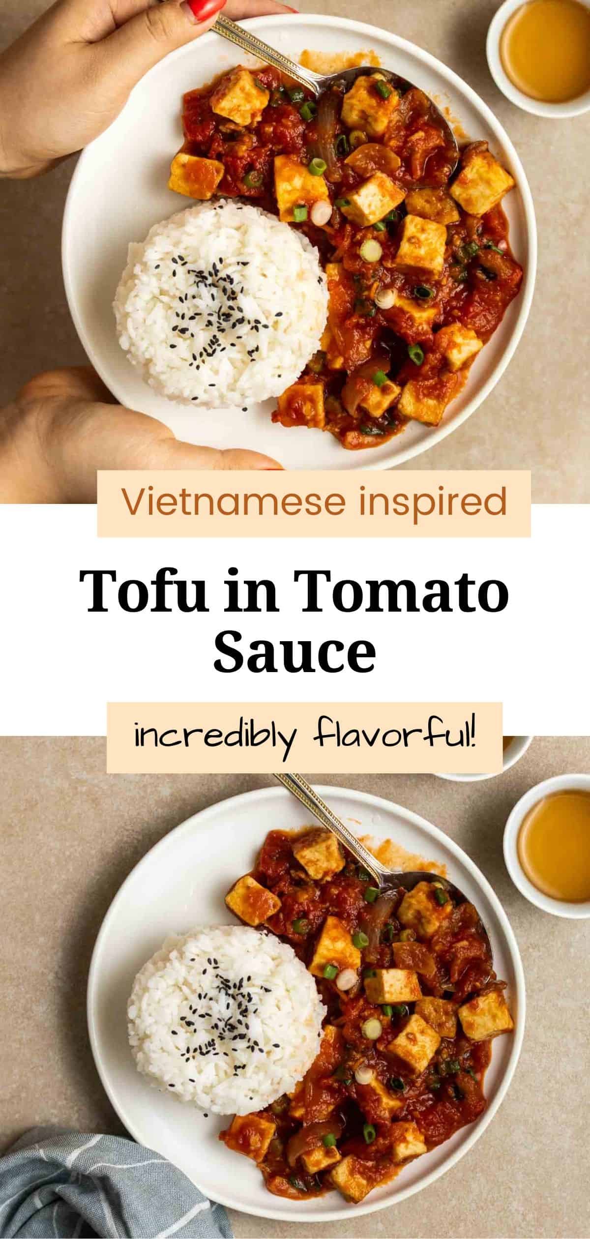 Vietnamese Tofu in Tomato Sauce – My Plantiful Cooking