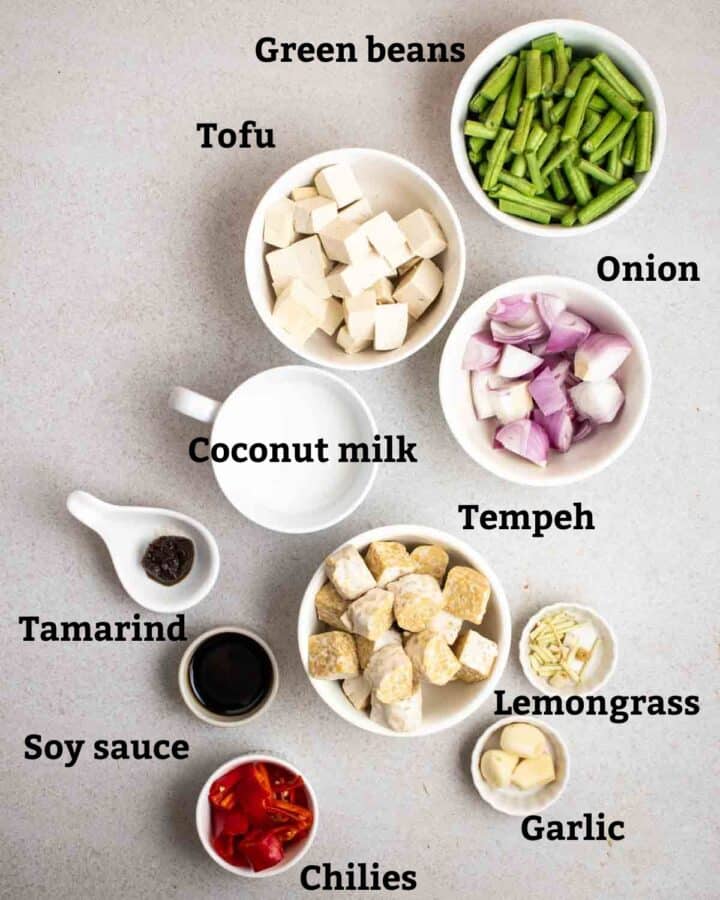 Indonesian Sambal Goreng – My Plantiful Cooking