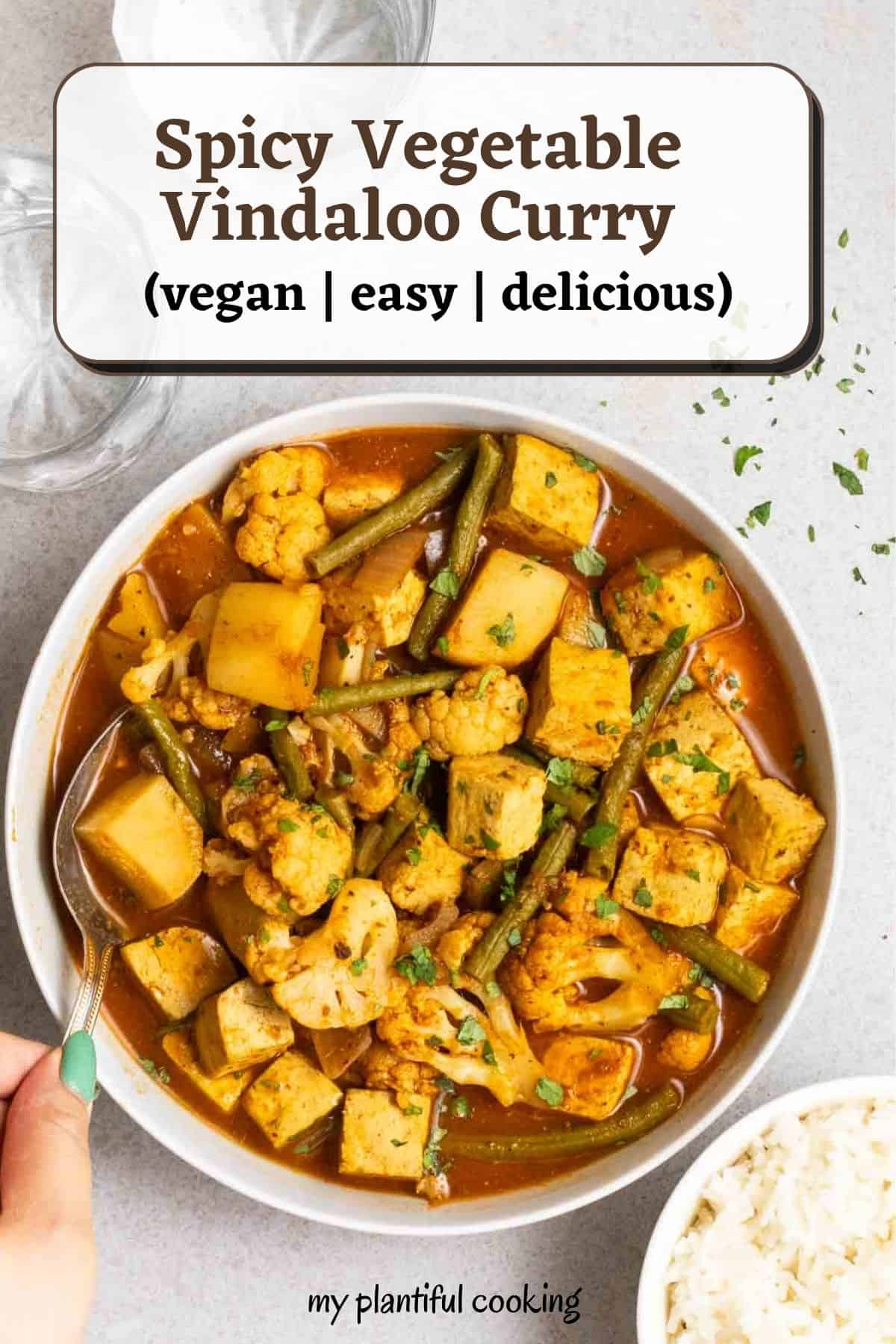 Vegan Vegetable Vindaloo – My Plantiful Cooking
