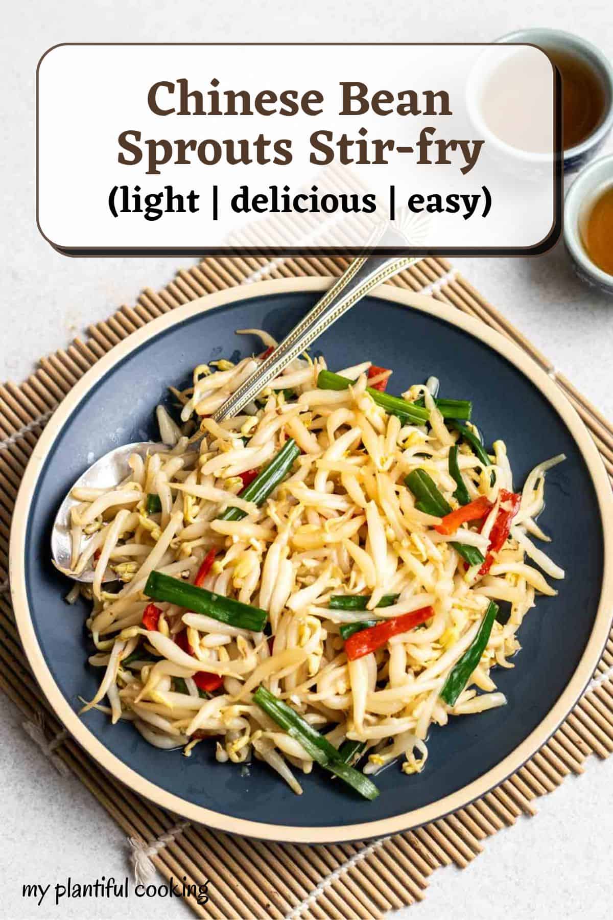 Chinese Bean Sprouts Stir-fry – My Plantiful Cooking