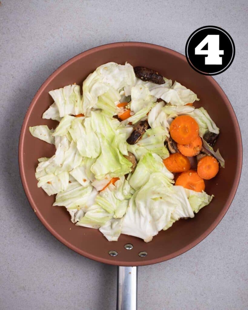 Vegan Wontons (soup or fried) – My Plantiful Cooking